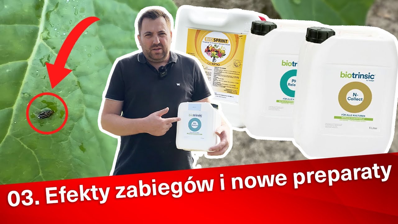 Efekty zabiegów i nowe preparaty mikrobiologiczne - BAT Agrar Sp. z o.o ...