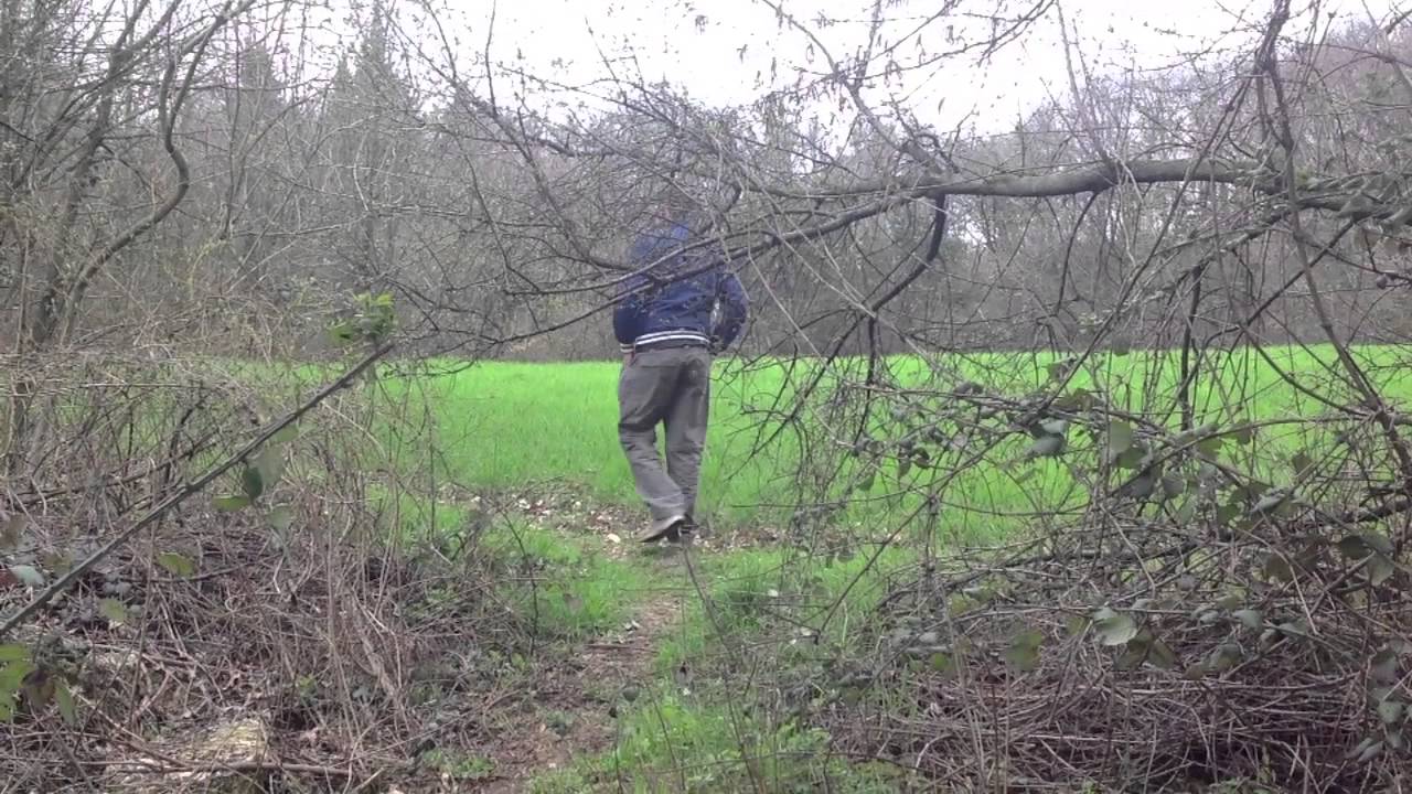 Best Jobs in the World - Australia - Park ranger - YouTube