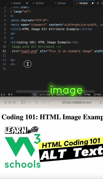 Html Coding Qanda 14 Html Attribute Specifies An Alternate Text For An Image Html Coding