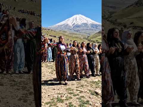 Halay Oynayan Kadınların Renkli ve Coşkulu Anları #halay #kurdish #kurtce #düğün  #gelin  #halaybasi