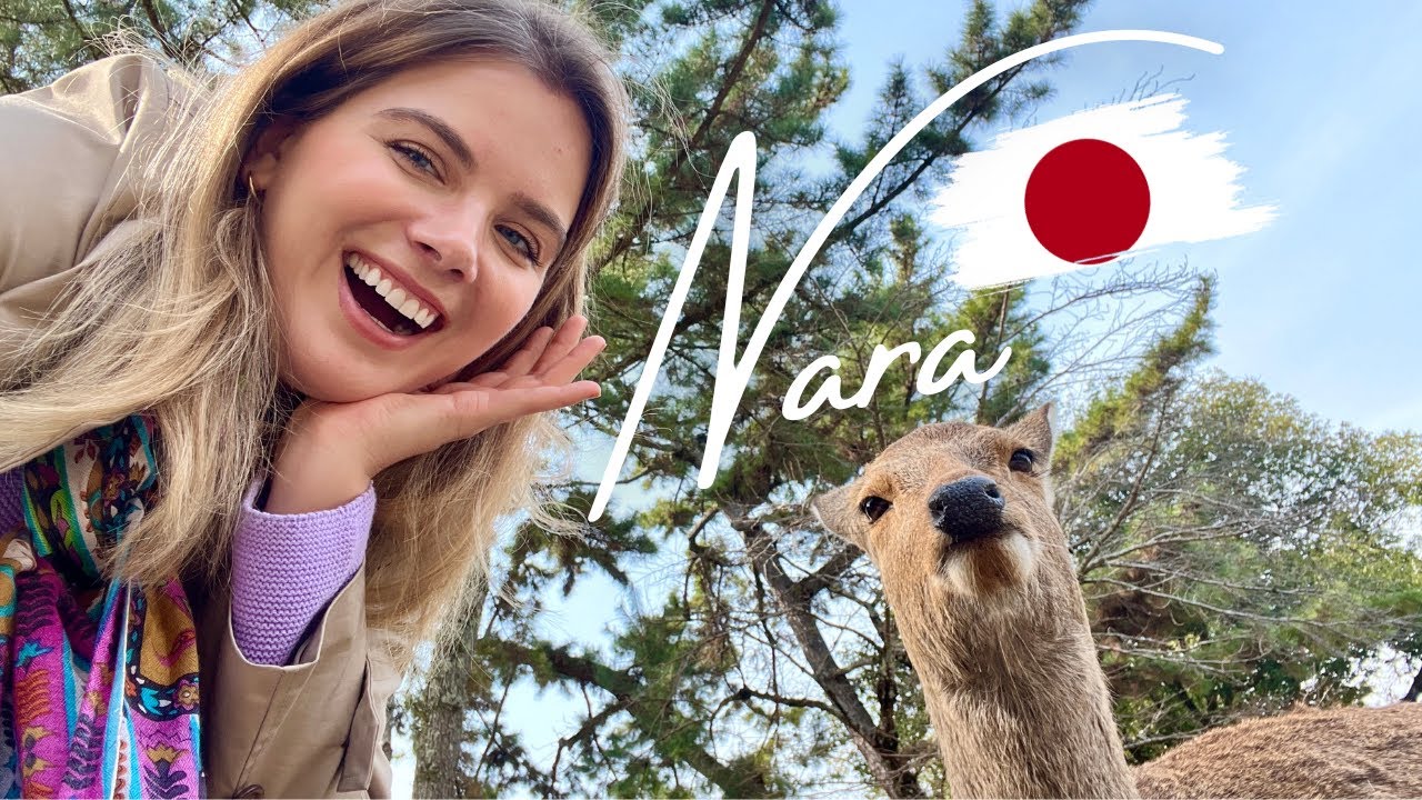 WHY NARA SHOULD BE ON YOUR JAPAN BUCKETLIST | Cute Deer, Amazing ...