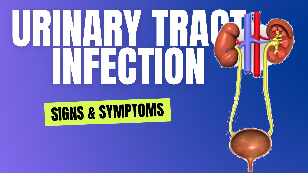 Urinary Tract Infections(UTI) | Signs And Symptoms - YouTube