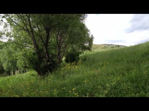 kanlı catışma