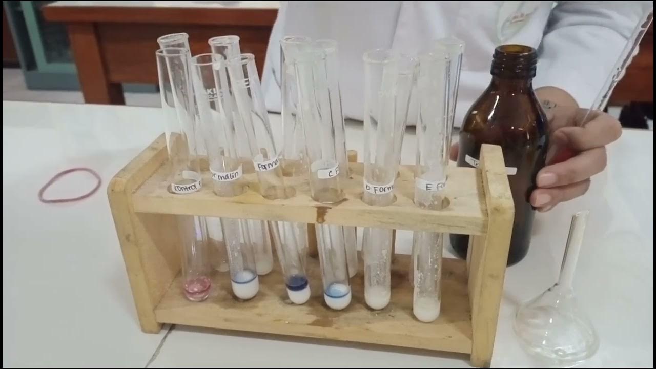 UJI KANDUNGAN BORAKS DAN FORMALIN PADA MIE BASAH DI DAERAH UNNES - YouTube