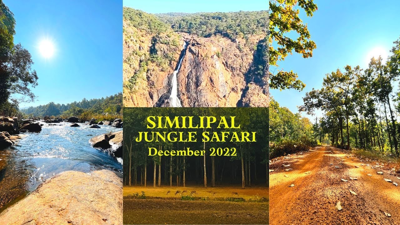 SIMILIPAL National Park | Odisha | Jungle Safari | Entry Details ...