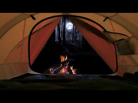 Sanal kamp ateşi,  ve diğer orman doğa sesleri gece rahatlatıcı kamp