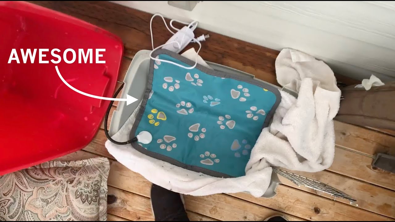 Outdoor test: Animal Heating Pad Pet Heating Pad - Waterproof Outdoor ...