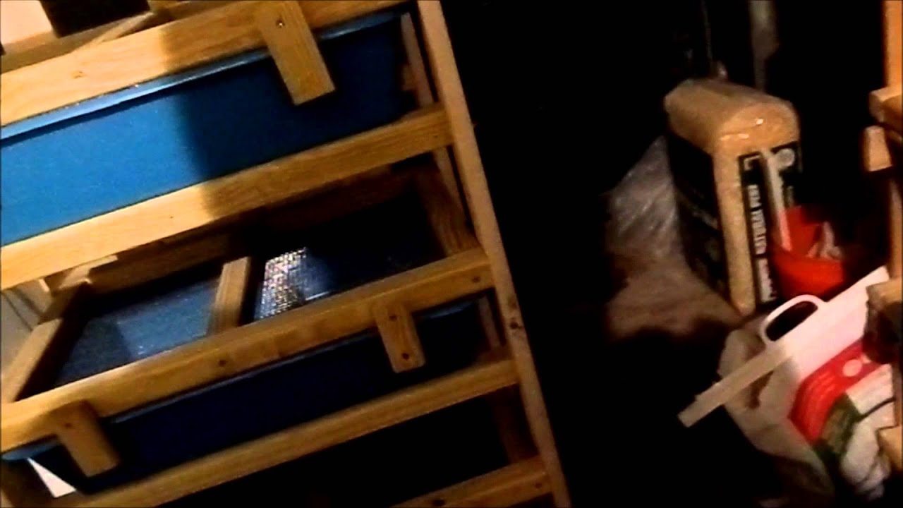 Mouse Rack: Take two - YouTube