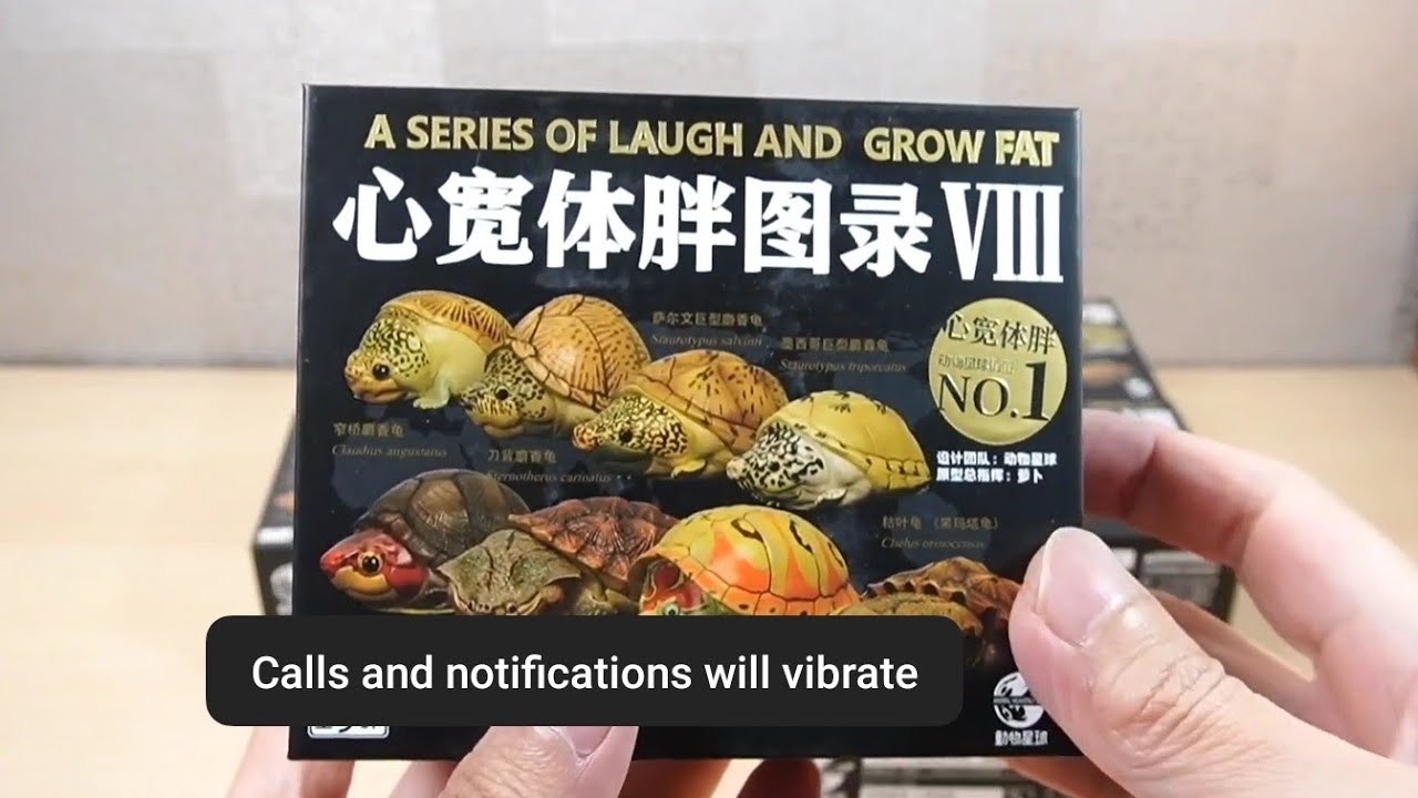 Animal Planet - Laugh and Grow Fat Series - Turtles - YouTube