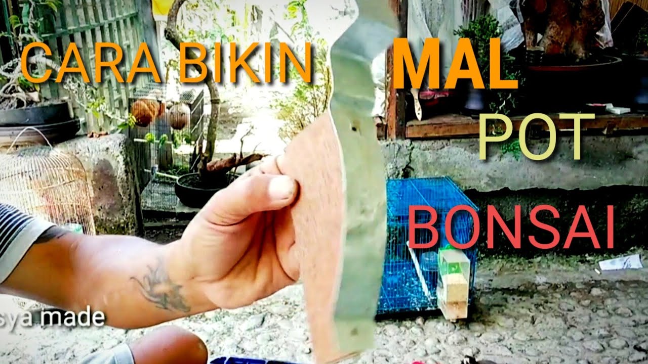 Bikin mal pot dari barang bekas.. Dan langsung mempraktekan bikin pot ...