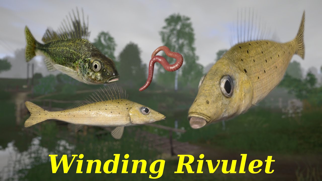 Russian Fishing 4 | Winding Rivulet | Donets Ruffe | SPOT RF4 #178 ...