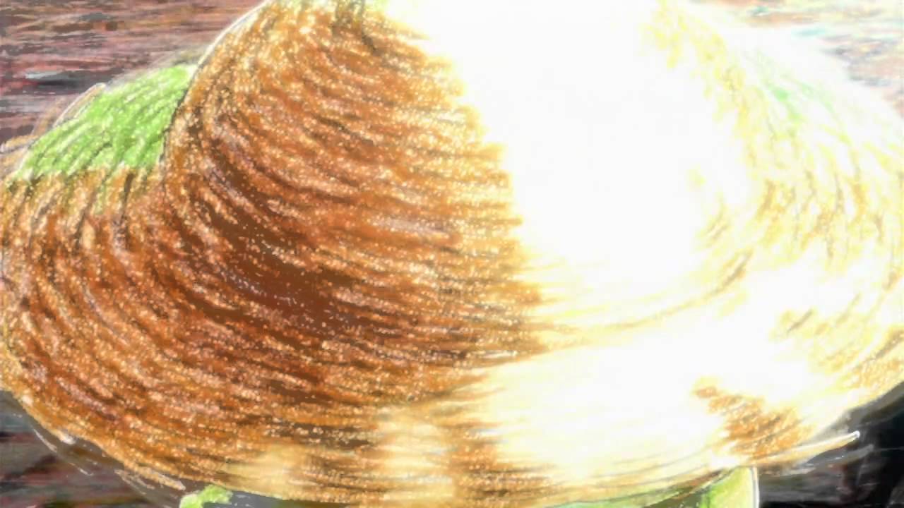 Hanasa Shounen shi - YouTube