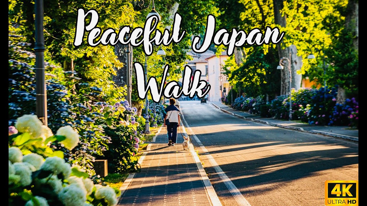 [4K] Relaxing Virtual Tour with Natural Sounds | Walking Japan 🇯🇵 # ...