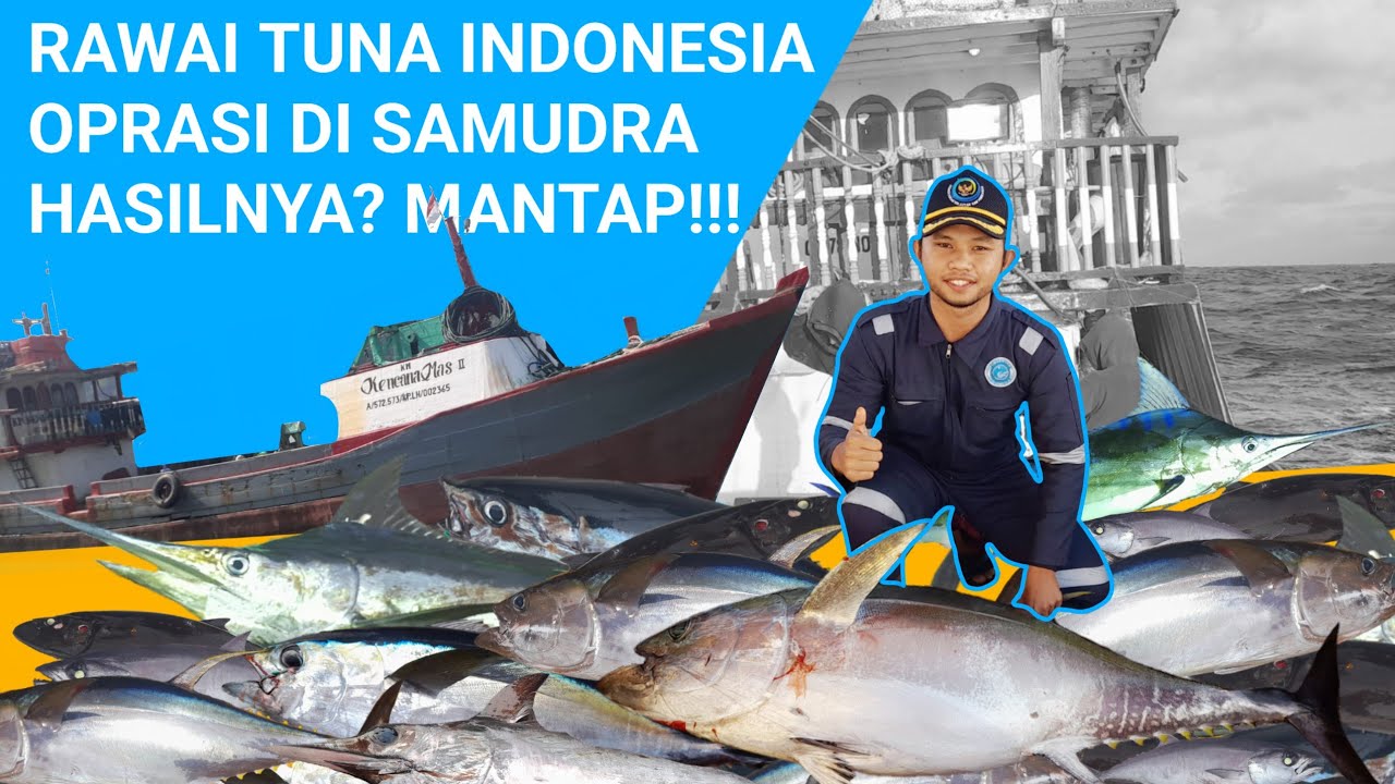 Cara Operasi Kapal Rawai Tuna Indonesia di Samudra || IKANNYA BESAR ...