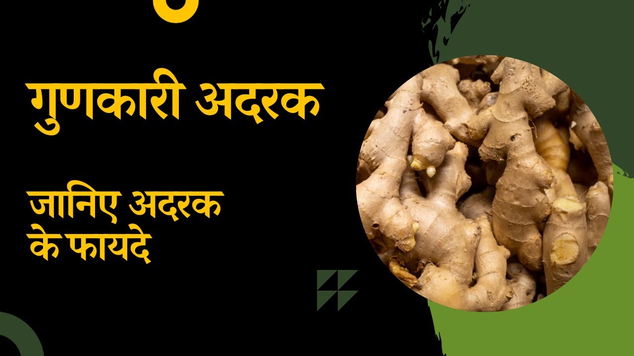 गुणकारी अदरक | Adrak ke Fayde | Adrak ki recipie | Ginger benefits ...