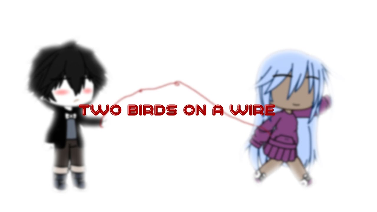 Two birds on a wire meme•Gacha club#gachaclub#gacha#gachameme - YouTube