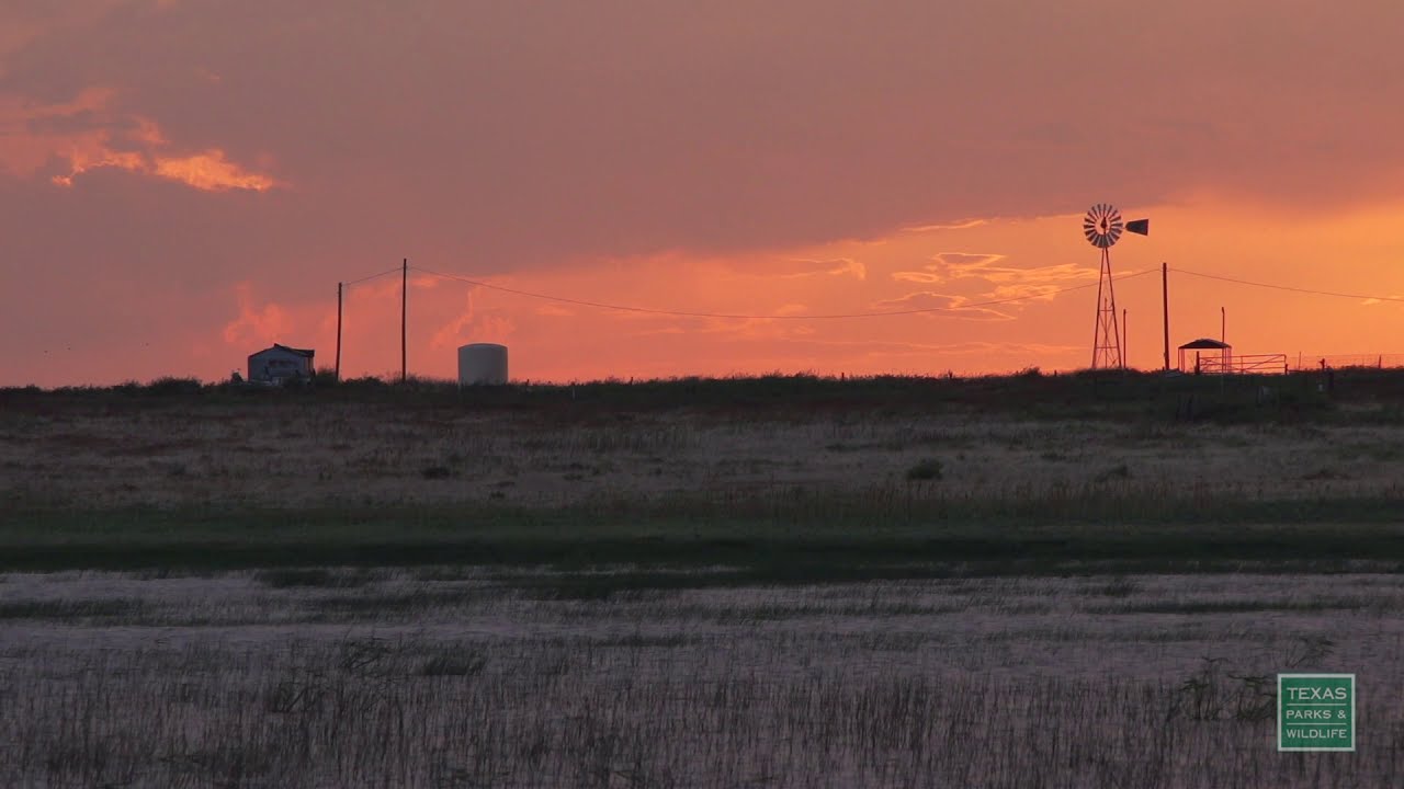 South Plains Playa Lakes - Postcard From Texas - YouTube