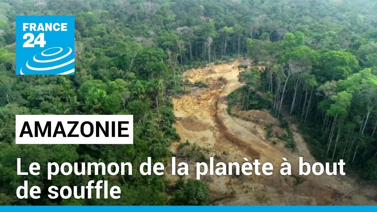 Amazonie: Le poumon de la planète à bout de souffle • FRANCE 24 - YouTube