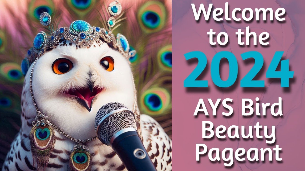 The Official Are You Serious??!! Bird Beauty Pageant! - YouTube