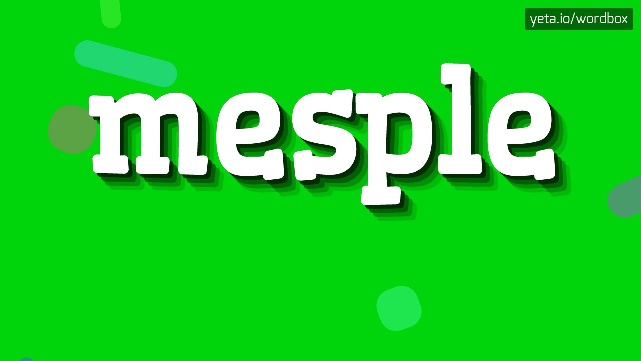 MESPLE - HOW TO PRONOUNCE IT!? - YouTube