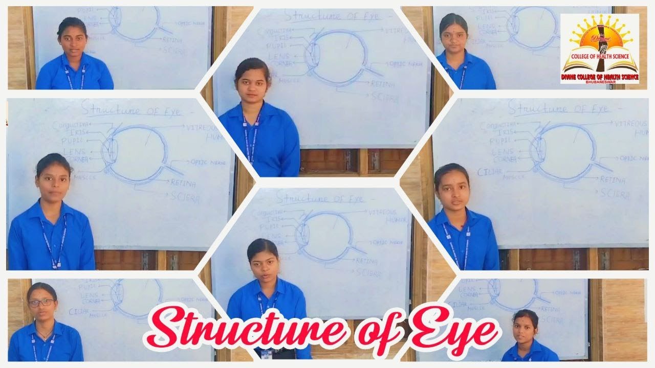 Structure of Eye // Divine college of health science // Students ...