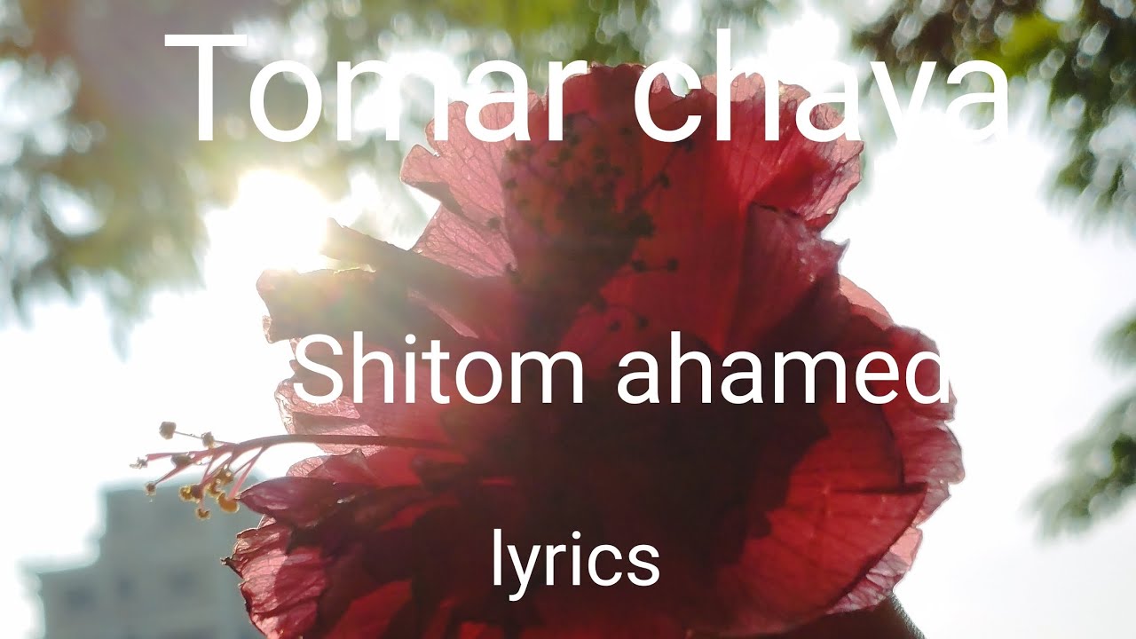 Tomar chaya|Shitom ahamed | lyrics by Mahin - YouTube