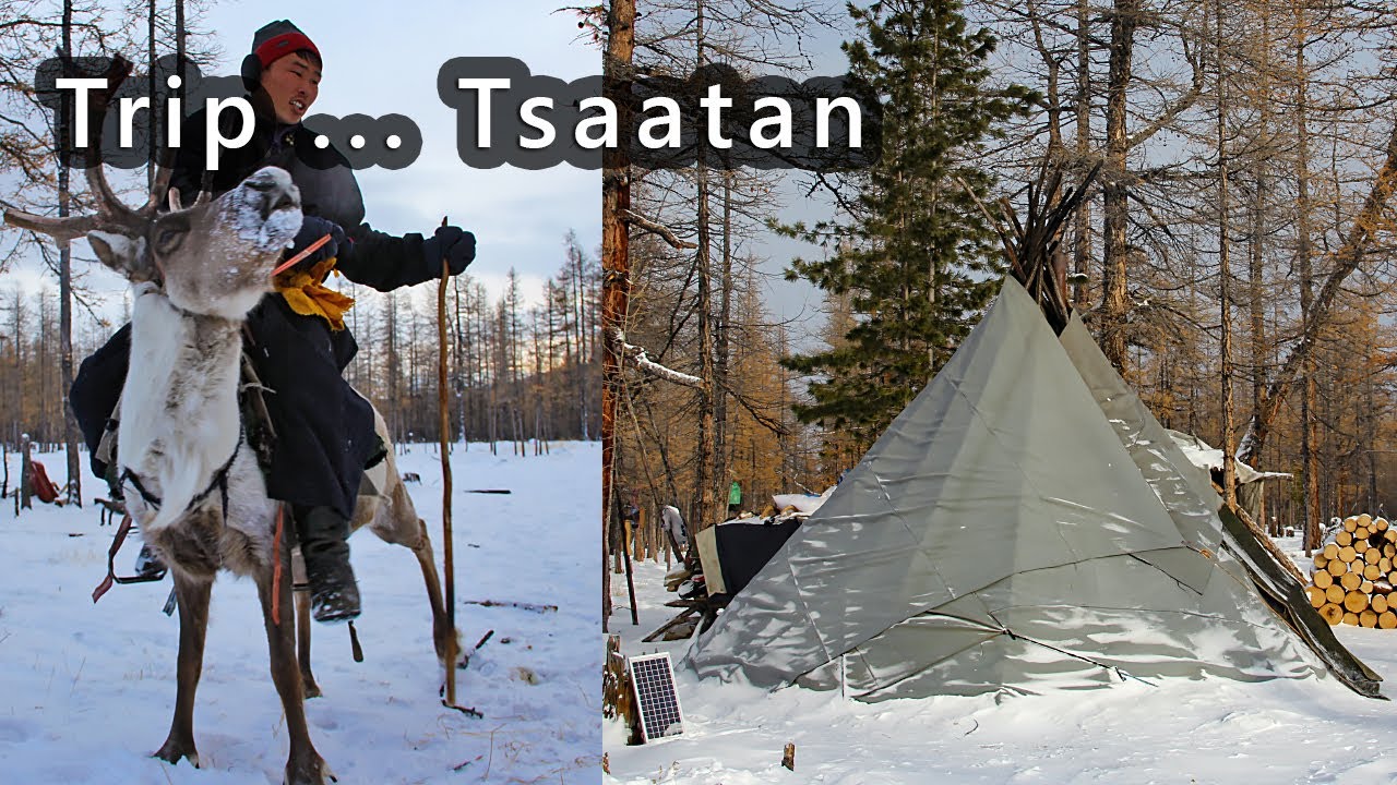 CAMPEMENT TSAATAN - YouTube