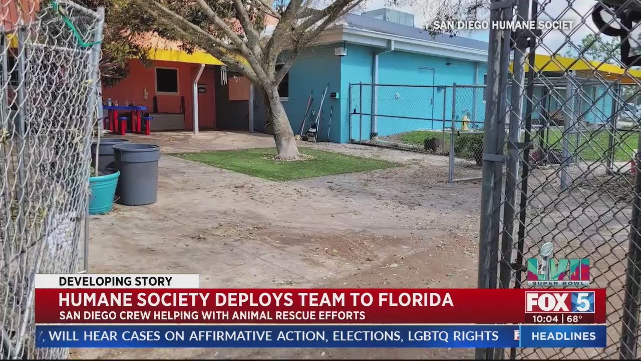 Humane Society Deploys Team To Florida - YouTube