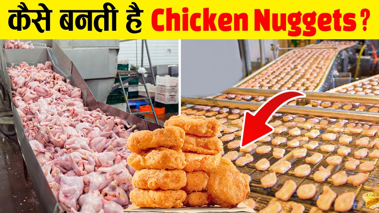 कैसे बनाये जाते हैं Chicken Nuggets ? Chicken Nuggets Factory ...