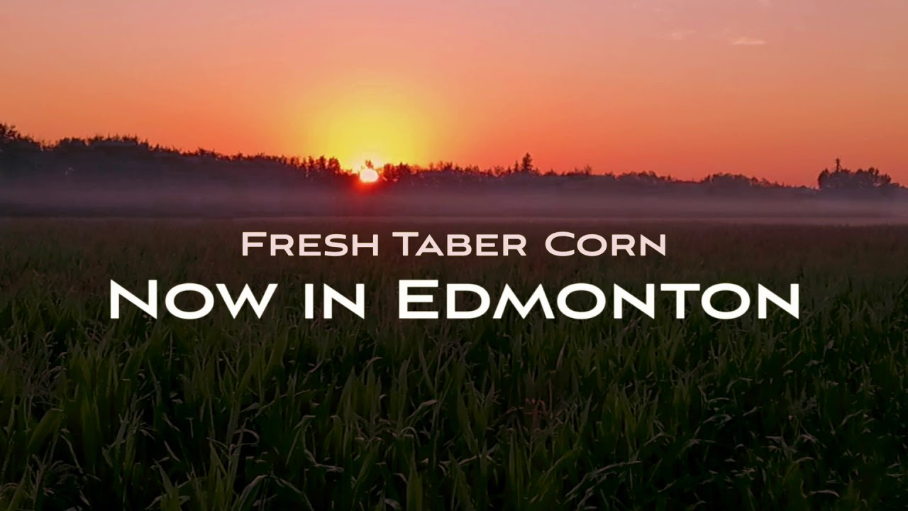 Johnson Fresh Farms - Edmonton - YouTube