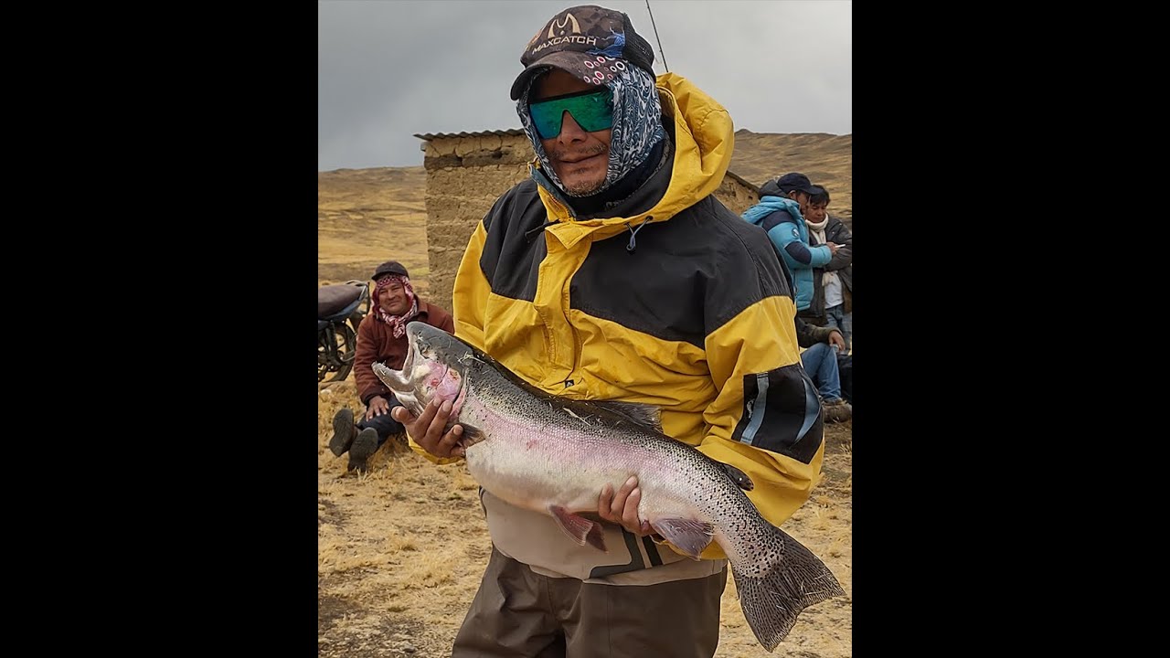 Pesca Truchas Campeonato de Pesca Cusco - Perú - YouTube