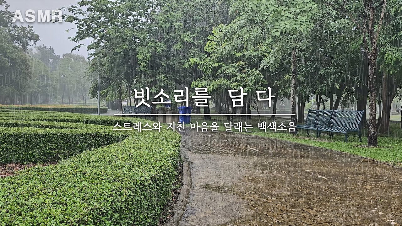 장마철 한적한 공원의 폭우 빗소리 Asmr 긴장 완화와 마음의 안정을 위한 백색소음 스트레스 해소 이명 완화 집중력