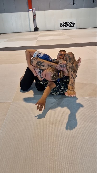 Turtle Triangle. - YouTube