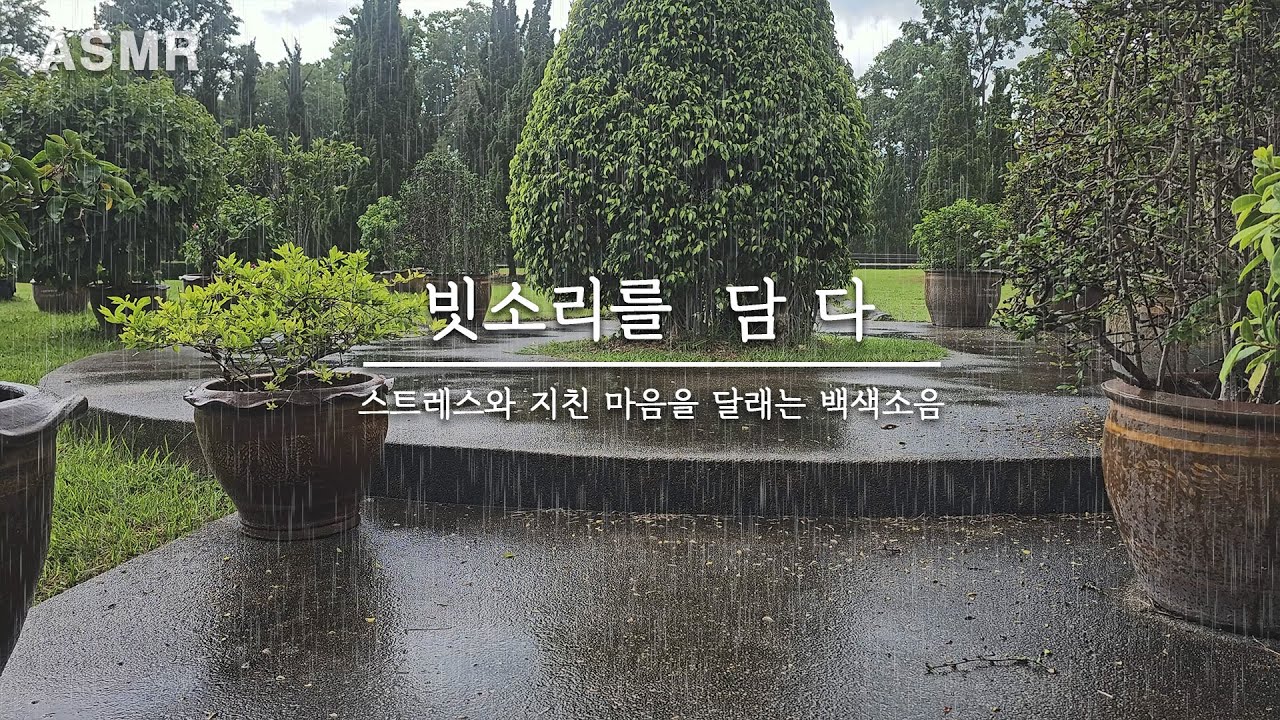 한적한 공원의 가벼운 빗소리 Asmr 긴장 완화와 마음의 안정을 위한 백색소음 스트레스 해소 이명 완화 집중력 향상 음악
