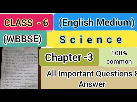 class 6 science chapter 3// wbbse class 6 science chapter 3//important ...