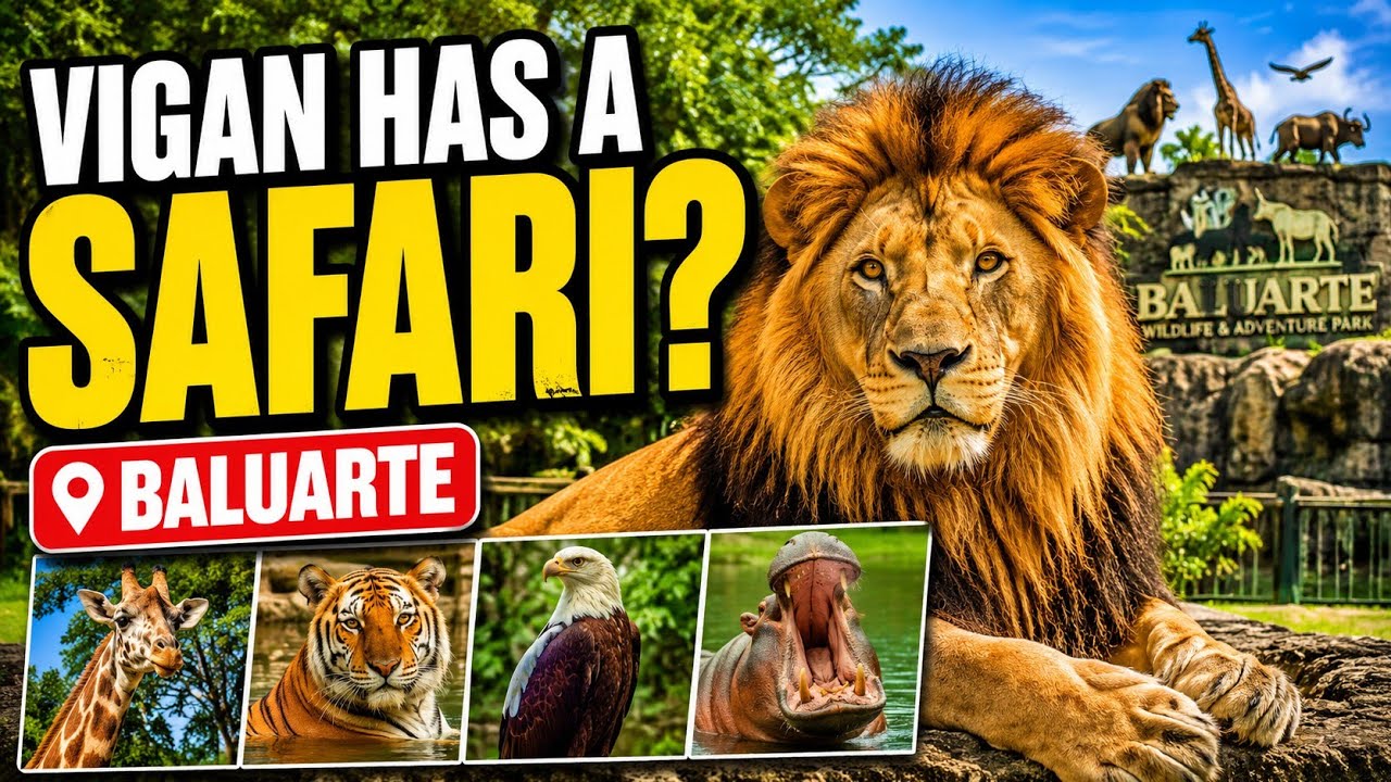 Explore The Exotic Wildlife At Baluarte Zoo In Vigan City, Ilocos Sur ...