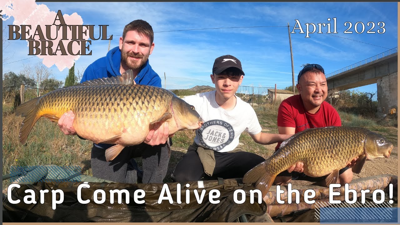 Carp Come Alive On the Ebro! April 2023 - YouTube