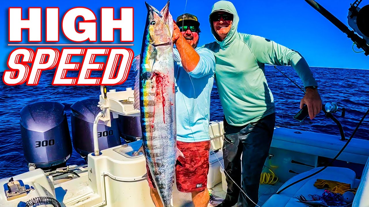 Fishing for one of the FASTEST FISH IN THE WORLD! - YouTube