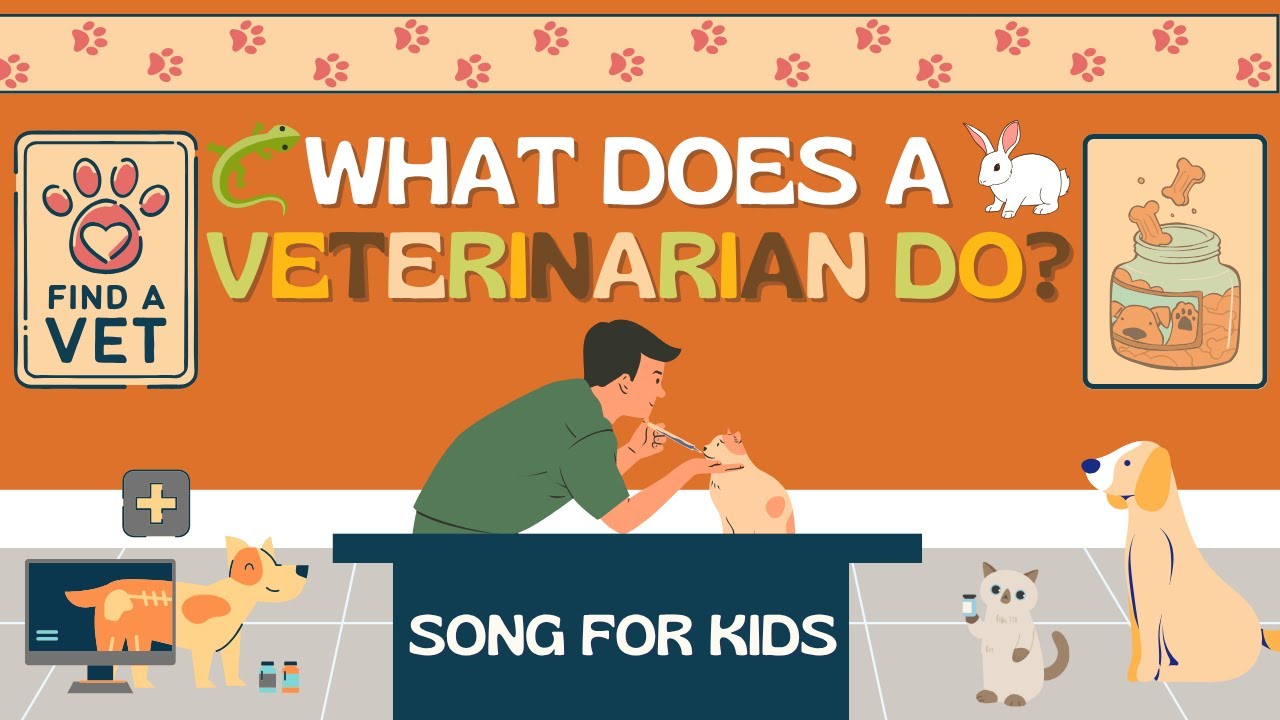 🐾 What Does a Veterinarian Do? | Fun & Educational Song for Kids About ...