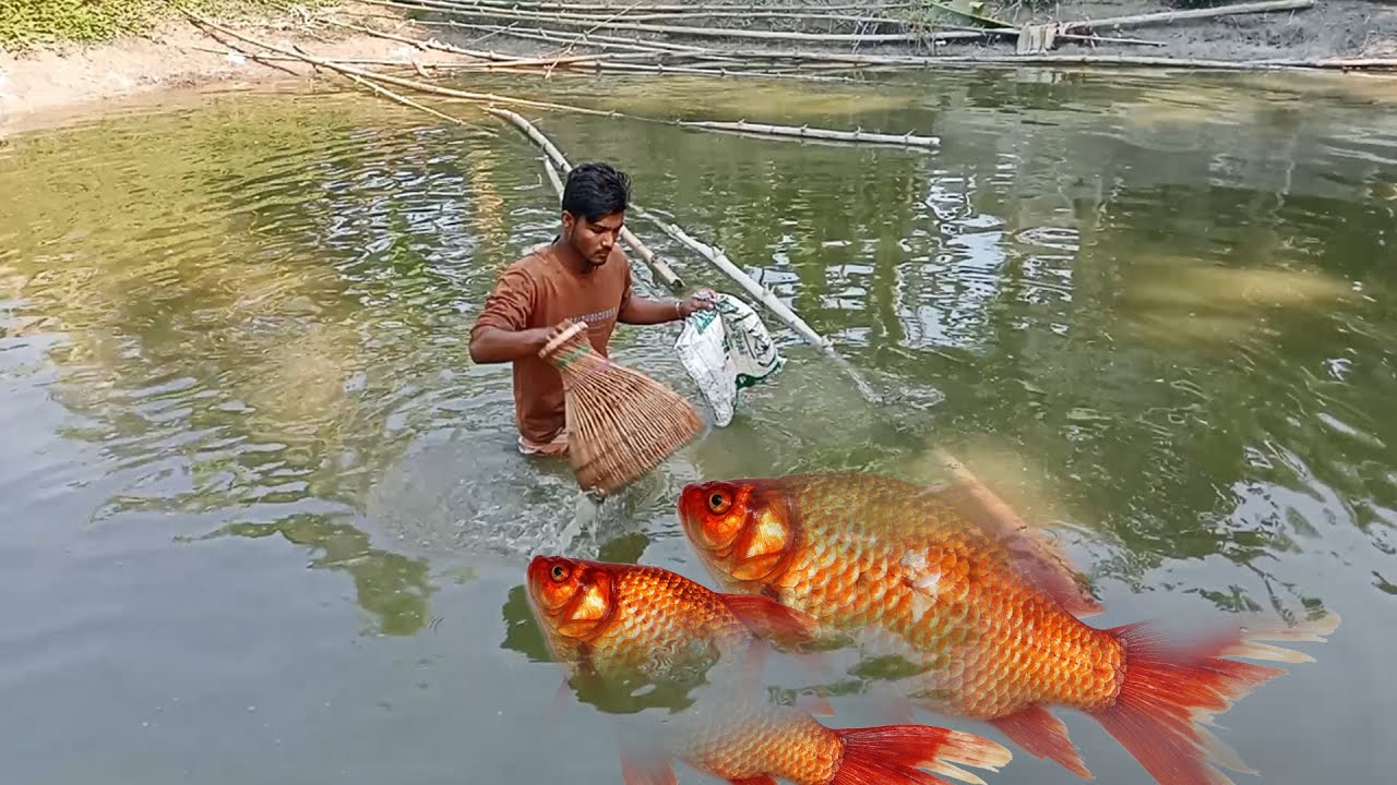 Amazing Polo Fishing With Pond! Hand Polo Fishing! Fishing Video 2023 ...