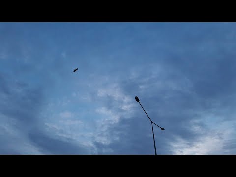 nazan öncel - ağla erkeğim ağla