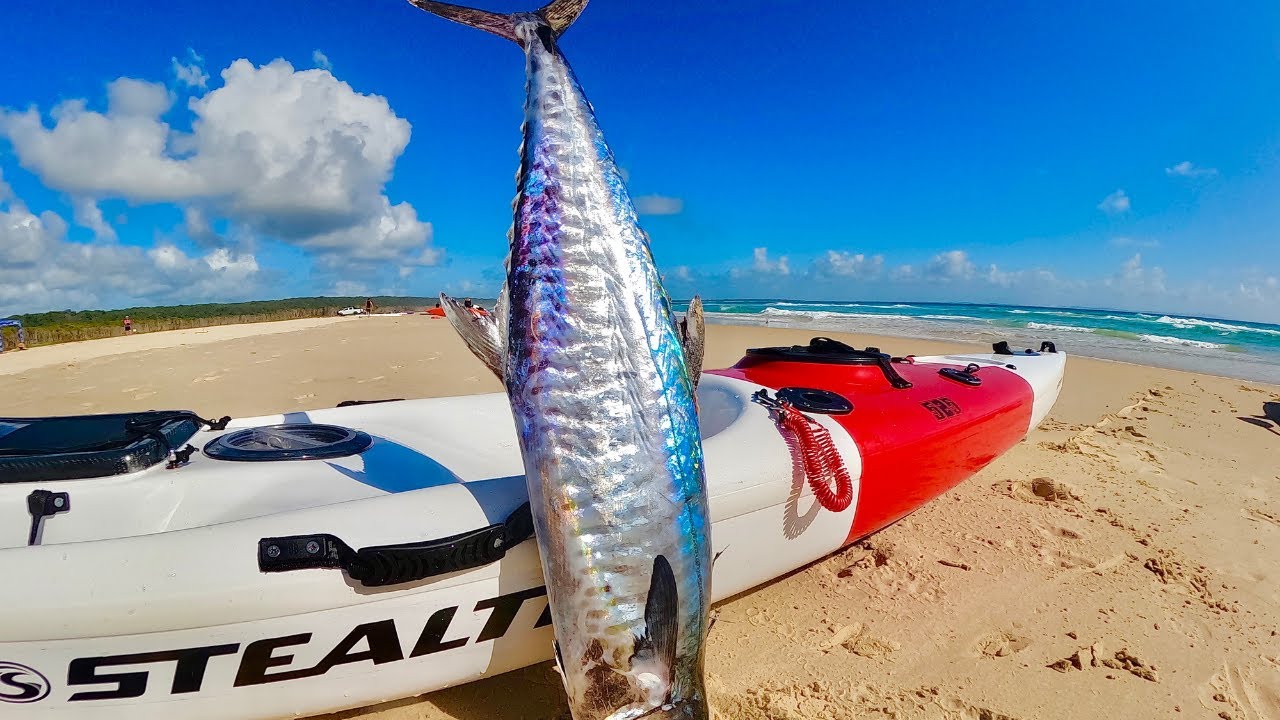 Will This Fish HELP The Team WIN?? Team KAYAK FISHING Competition! Part ...