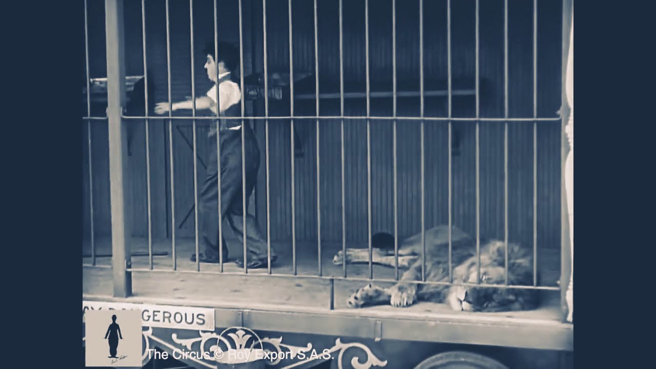 Mamu Charlie Ep. 5 - YouTube