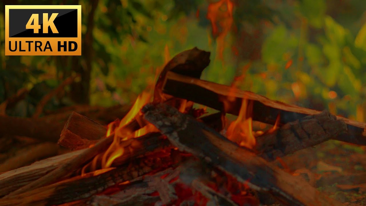 Restful Evening Fireside Calm | Outdoor Campfire in a Snowy Forest Edge ...