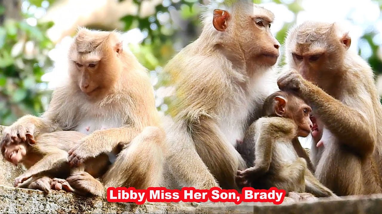 H.O.T NEWS! Today Libby miss her son, Brady, so much so Libby visit Rose & Brady - YouTube