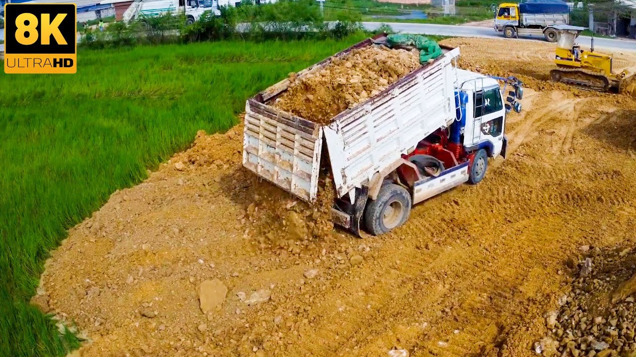 Start New Project With an unprecedented new task of clearing swamp pits ...