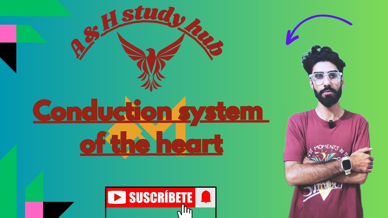 Conduction system of heart || Action potential of heart ...