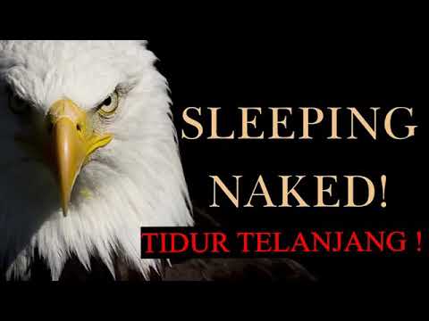 PERINGATAN TUHAN TENTANG TIDUR TELANJANG (TERJEMAHAN INDONESIA)