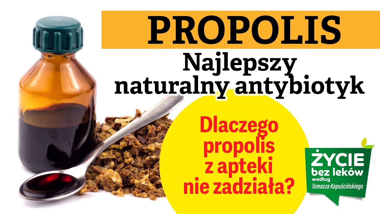 Propolis - najsilniejszy naturalny antybiotyk - ZRÓB GO SAM, żeby zadziałał! - YouTube