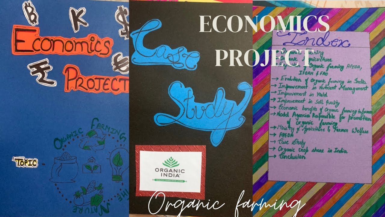Economics project | economics project for class 12| TOPIC ~ Organic ...